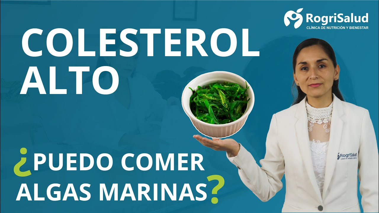 EXPLORANDO EL IMPACTO DE LAS ALGAS MARINAS EN EL COLESTEROL ALTO - YouTube