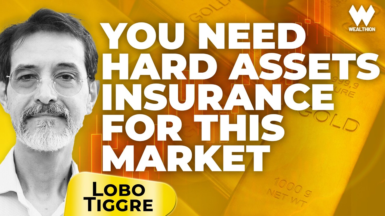 Hard Assets Are Your Insurance Now | Lobo Tiggre on Today’s AI Mania ...