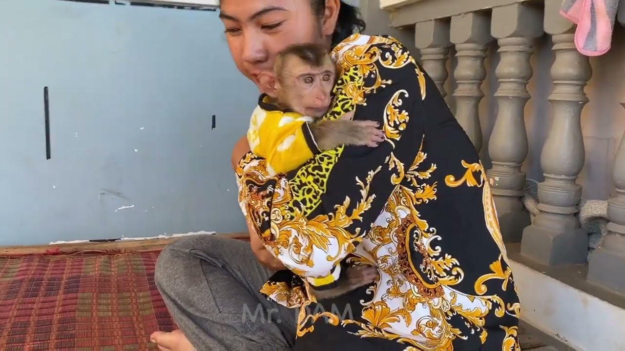 Pitiful Baby DAM Very Moody Today - YouTube