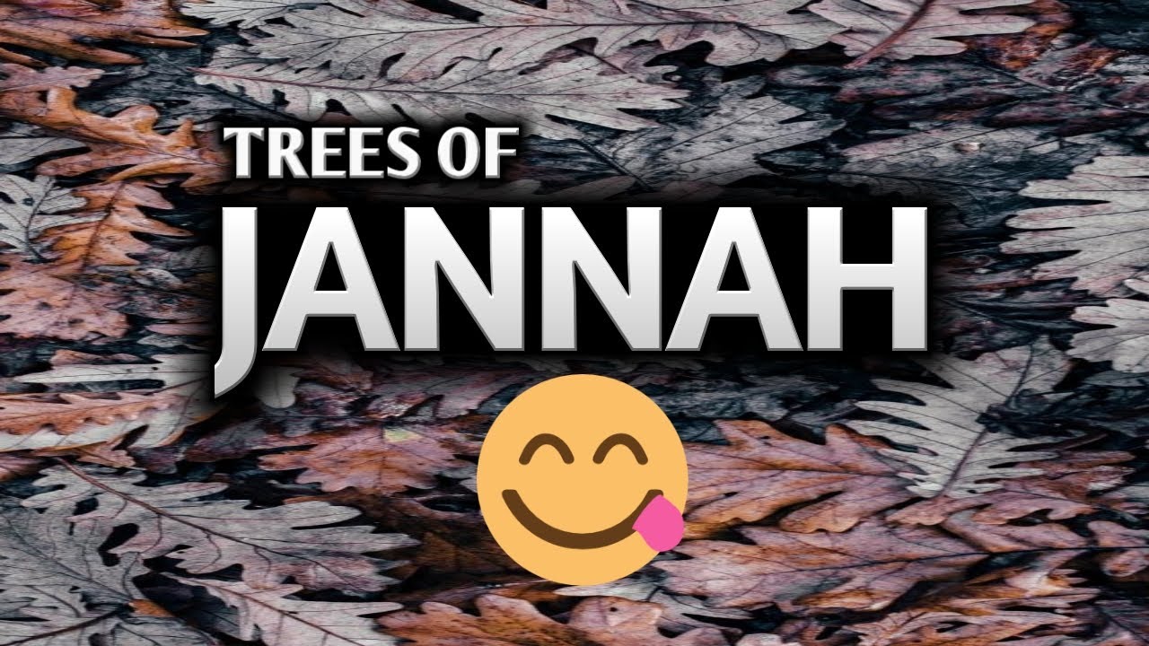 TREES OF JANNAH (PART 2) | Sheikh Tawfique Choudry - YouTube
