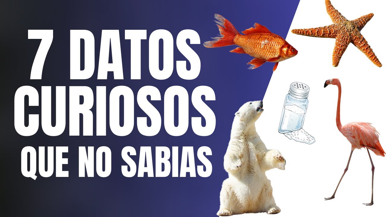 7 datos curiosos que no sabias - YouTube