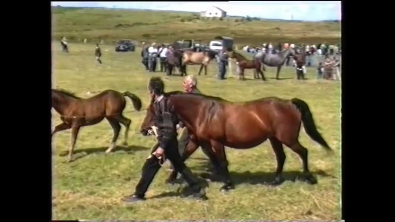 Claddaghduff Pony Show 1995 - YouTube