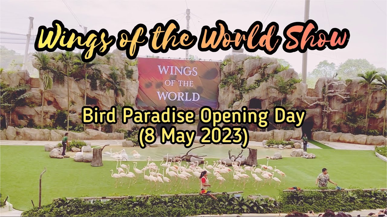 Wings of the World Show | Bird Paradise Singapore | Opening Day 8 May ...