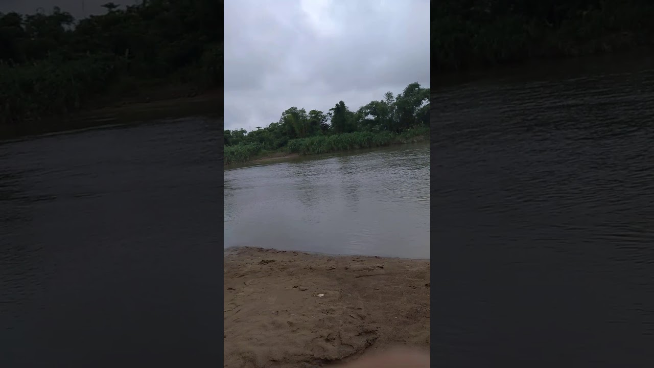 এলিট ক্লাব লিয়াকতগঞ্জ বাংলাবাজর এর সদস্যদের স্বেচ্ছাশ্রমের ভিত্তিতে ...