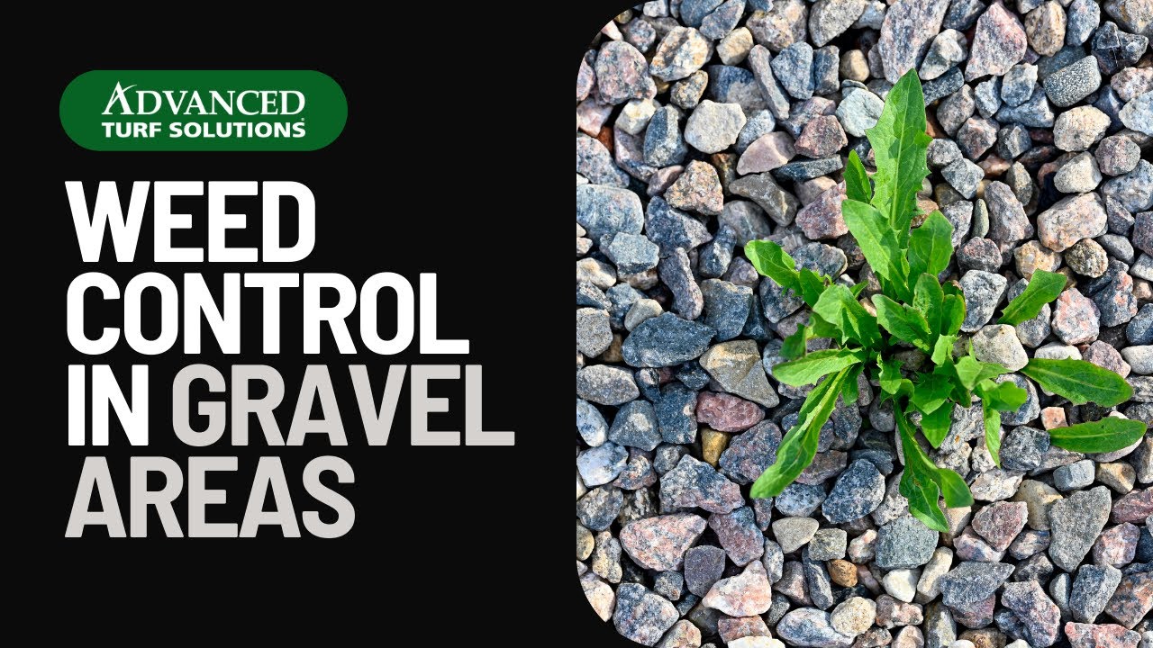 Weed Control in Gravel Areas - YouTube