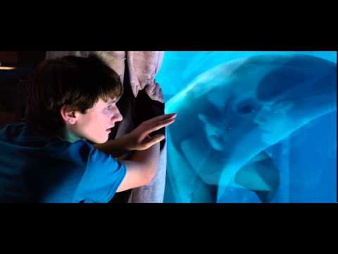 DOLPHIN TALE 2 - Main Trailer
