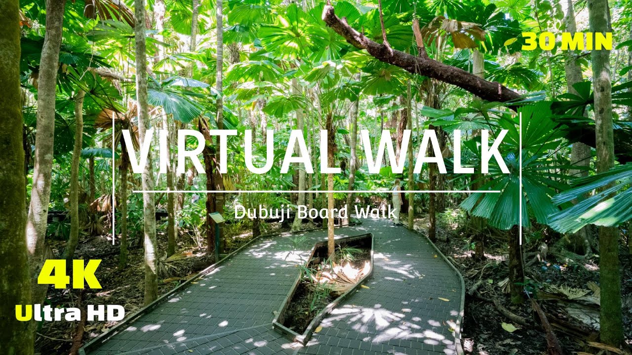 Virtual Walk - Jungle Walking Tour - Dubuji 4K - Treadmill Video ...