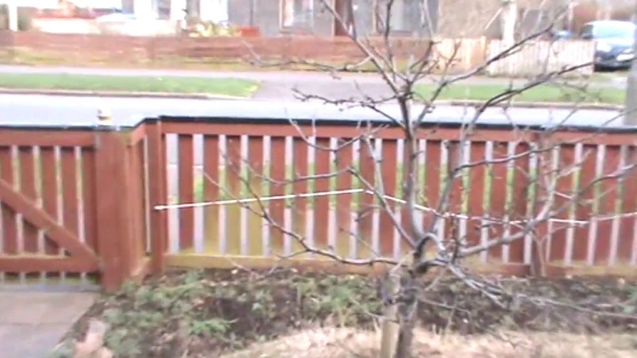 Monimail, Buckhaven and other orchards by Rab Thomson 2017 - YouTube