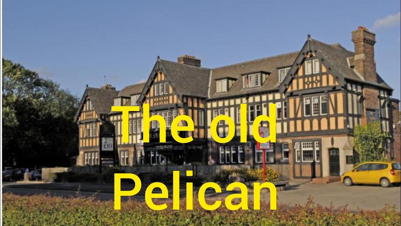 The old pelican - YouTube