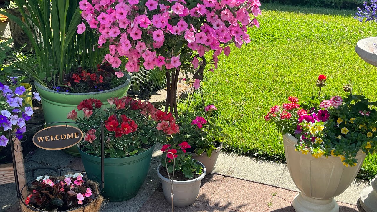 Haciendo macetas para sombra - YouTube