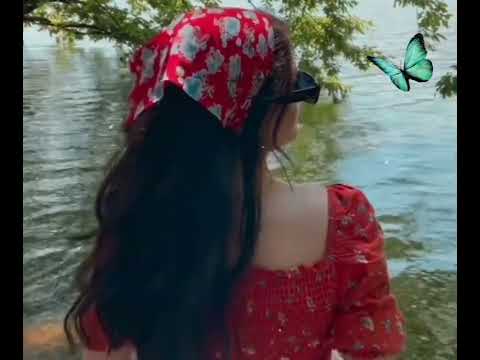 🦋🌷Whatsapp ucun maraqli statuslar,sevgiye aid video,Sounds App Status ucun qisa videolar 2022🍃