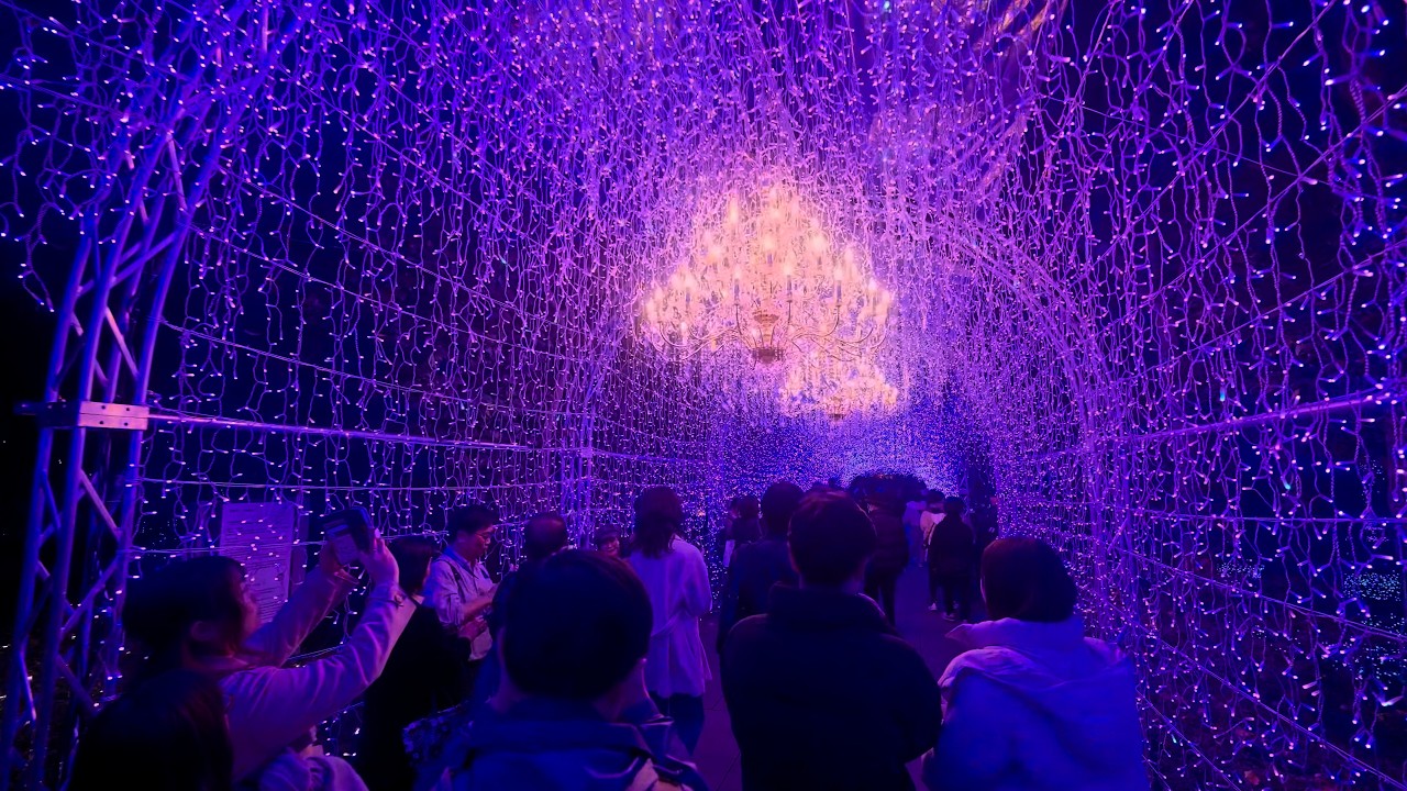 Enoshima Christmas Lights 2024/25 with tanuki・4K HDR - YouTube