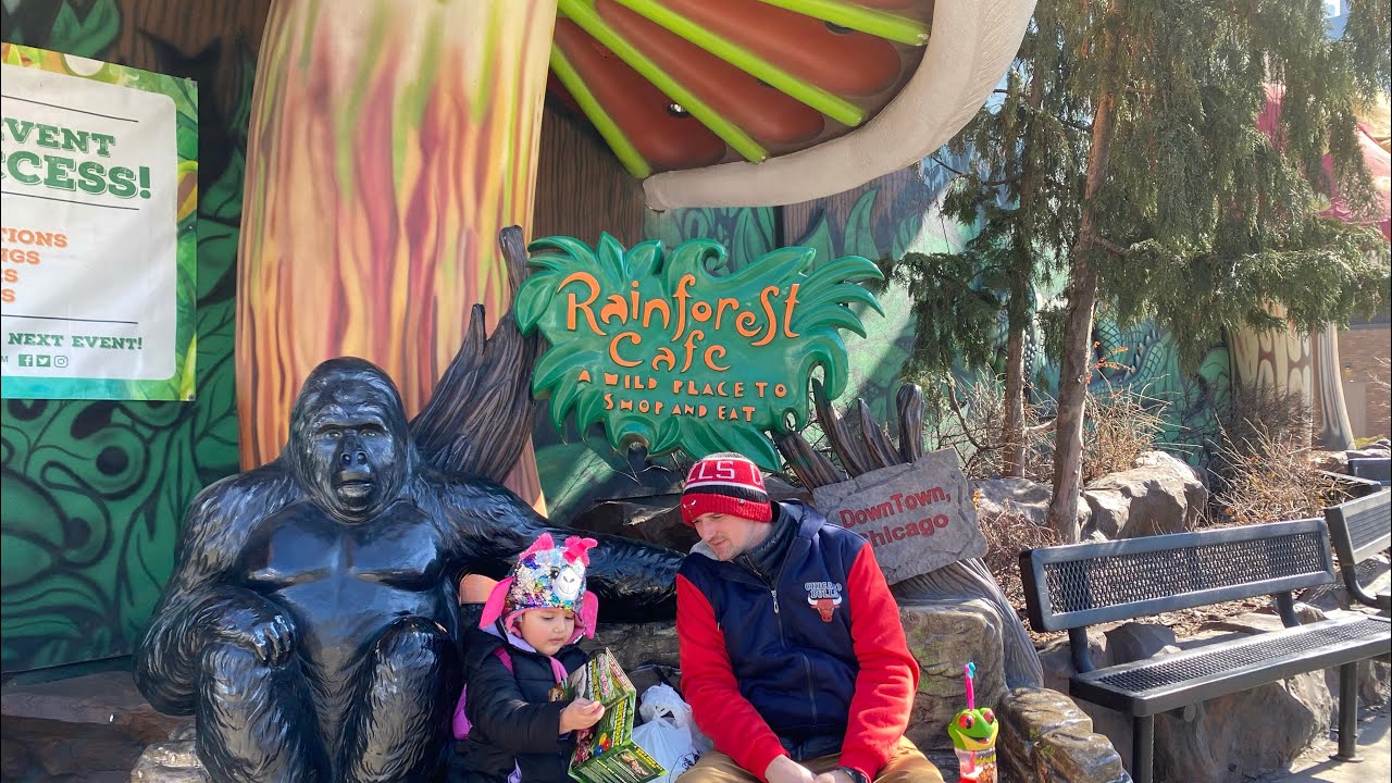 Chicago Rainforest Cafe Experience || Weekend at the Windy City Part ...