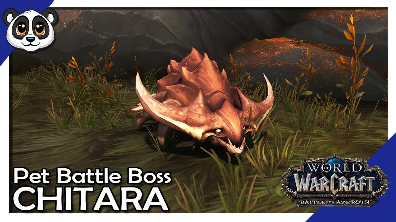 Pet Battle Boss CHITARA | World of Warcraft: Battle for Azeroth - YouTube