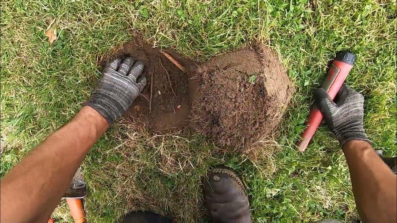 LIVE DIG ACTION!! XP Deus 2 in the park. Hard to pinpoint because of the roots. - YouTube