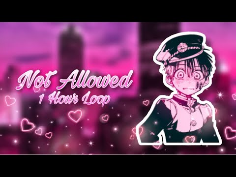 Not Allowed 1 hour loop ︎ - YouTube
