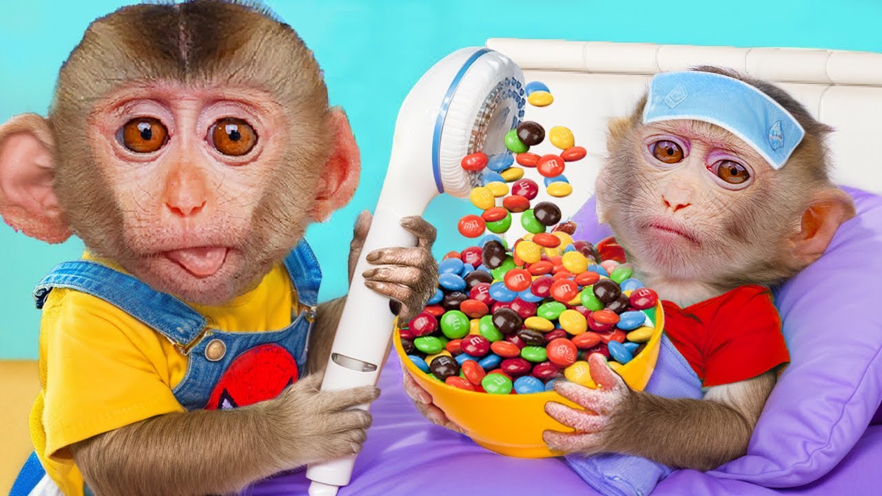 Monkey DeDe He pretends to be good to take care of a sick monkey ...