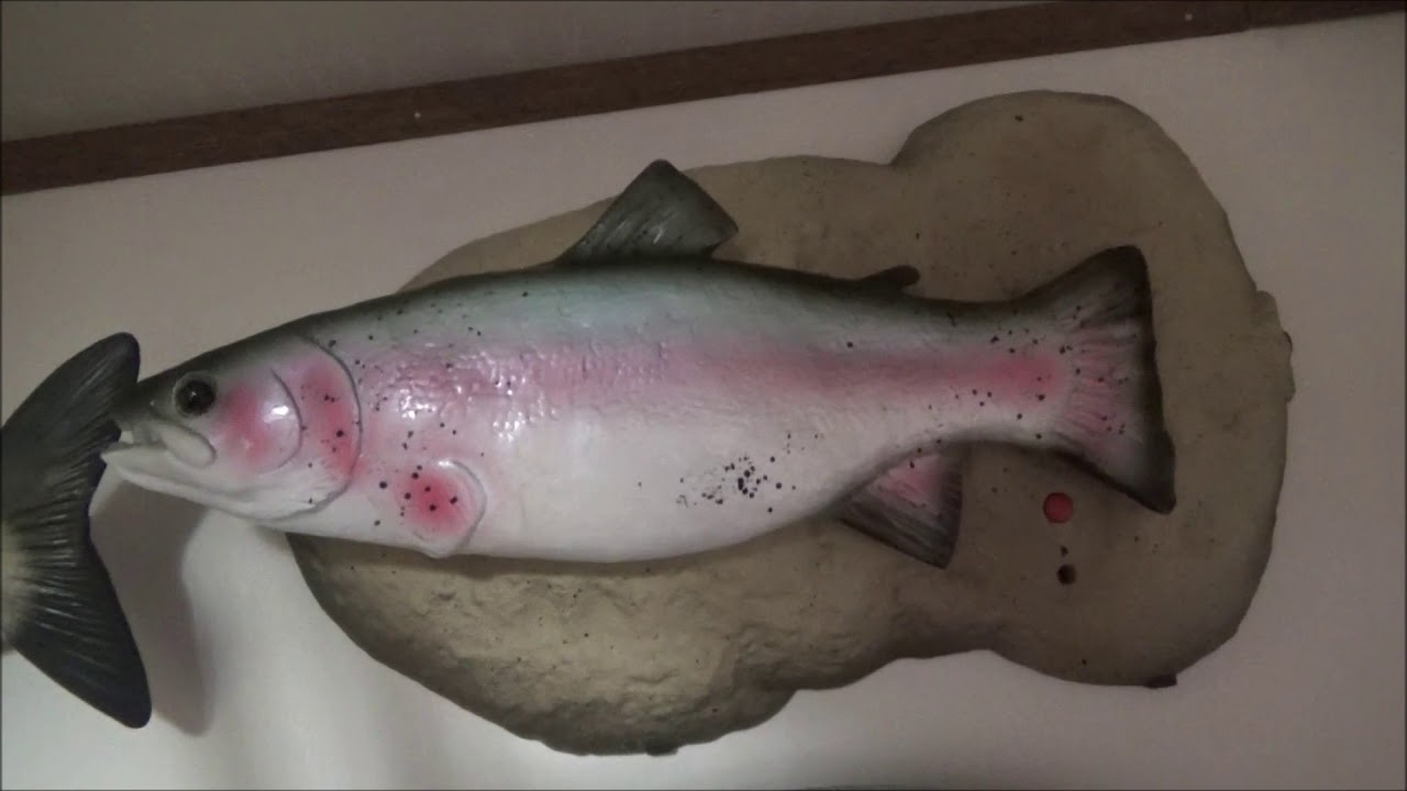 Animated Singing Fish Collection and others (jobeanvideos) - YouTube