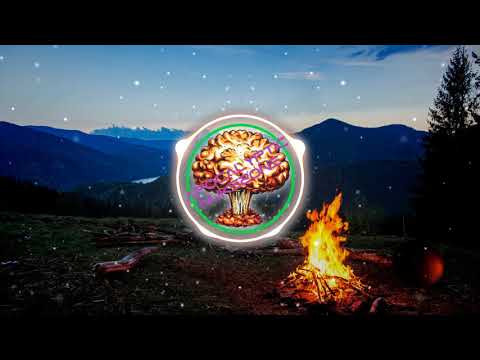 Rainbow Kitten Surprise - First Class (Clean Version)