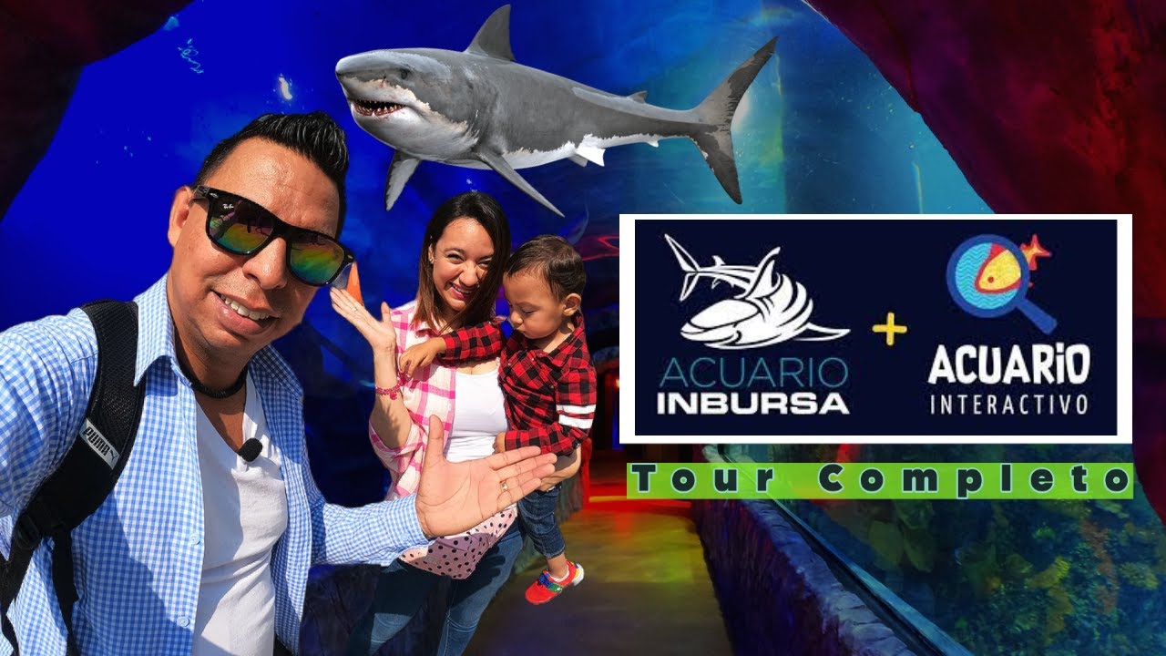 Acuario INBURSA en CDMX | Todo lo que DEBES saber | TOUR COMPLETO - YouTube