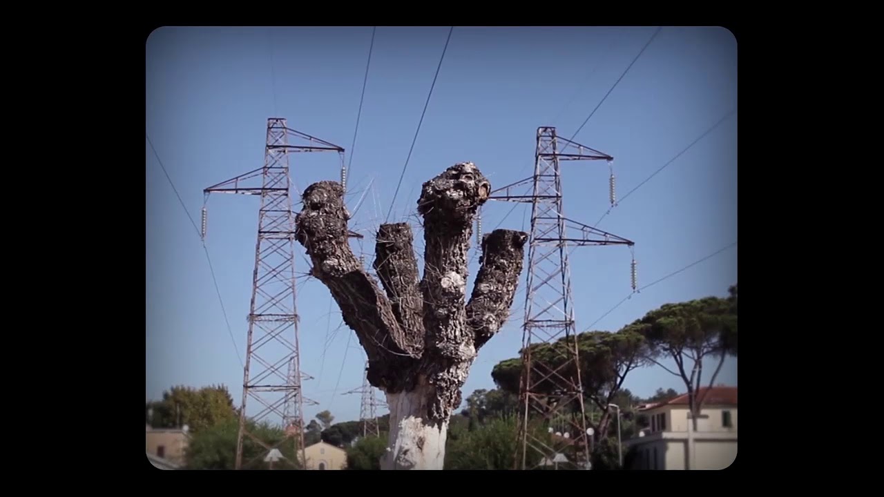 John Cascone, Metamorfica, 2020 - YouTube