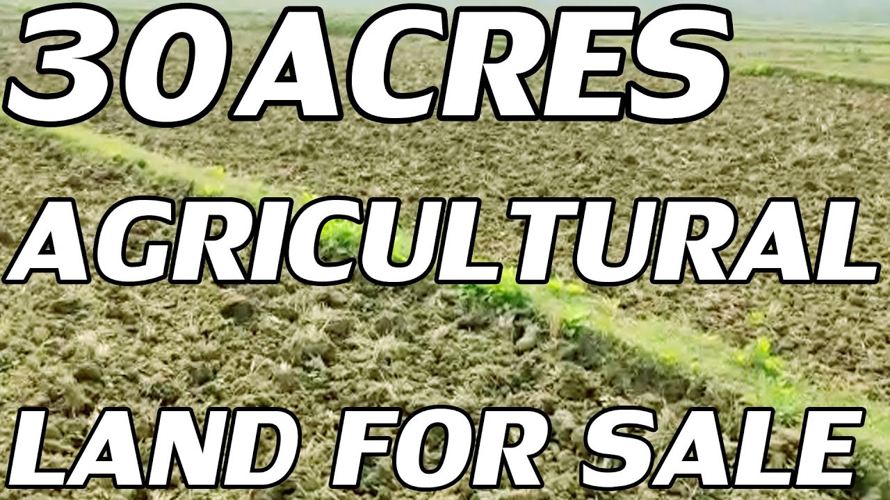 30 ACRES LAND FOR SALE | COST PER ACRE IS ₹ 6,00,000 /- LAKHS | PADDY ...