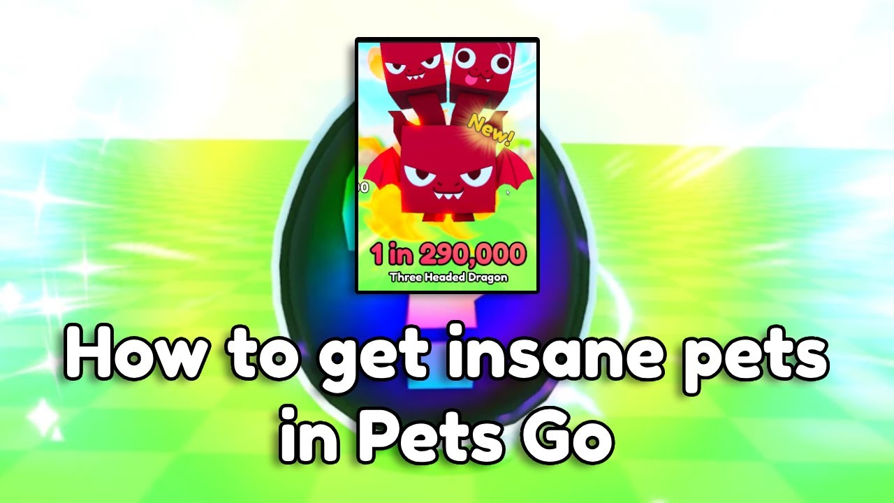 How to get insane Pets in Pets Go | Pets Go | InfiniteStripes - YouTube