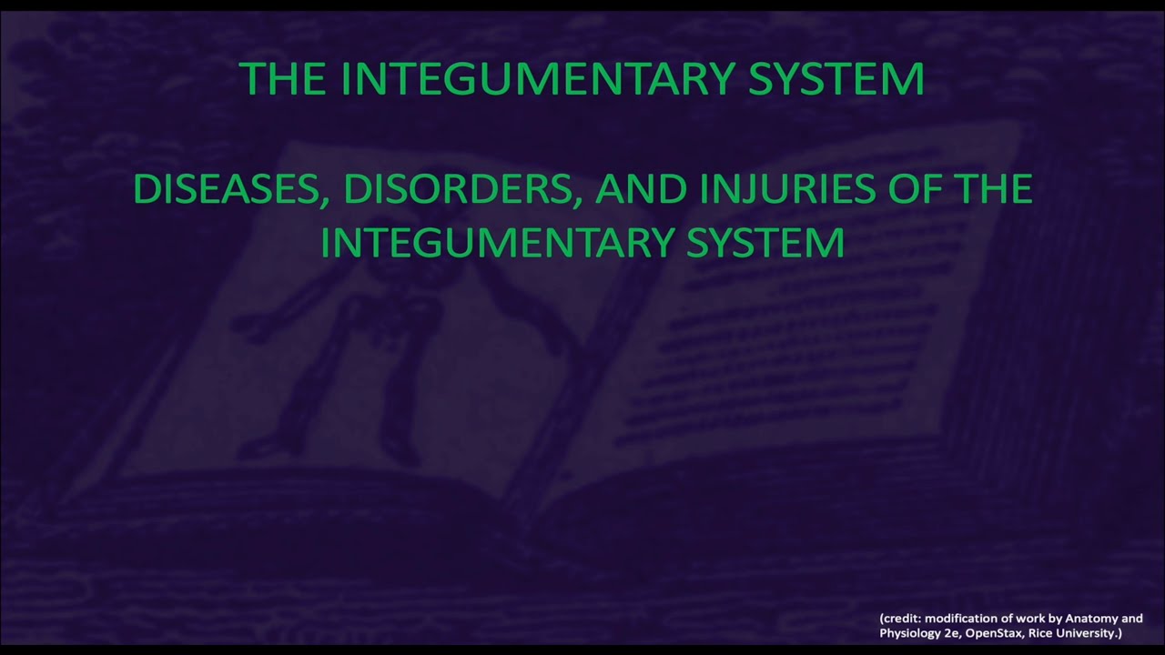 Diseases, Disorders, and Injuries of the Integumentary System - YouTube