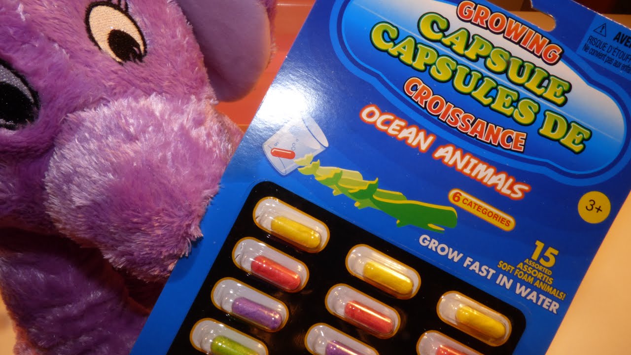 Magic Sponge Animals Trick ☔️ Just Add Water - YouTube