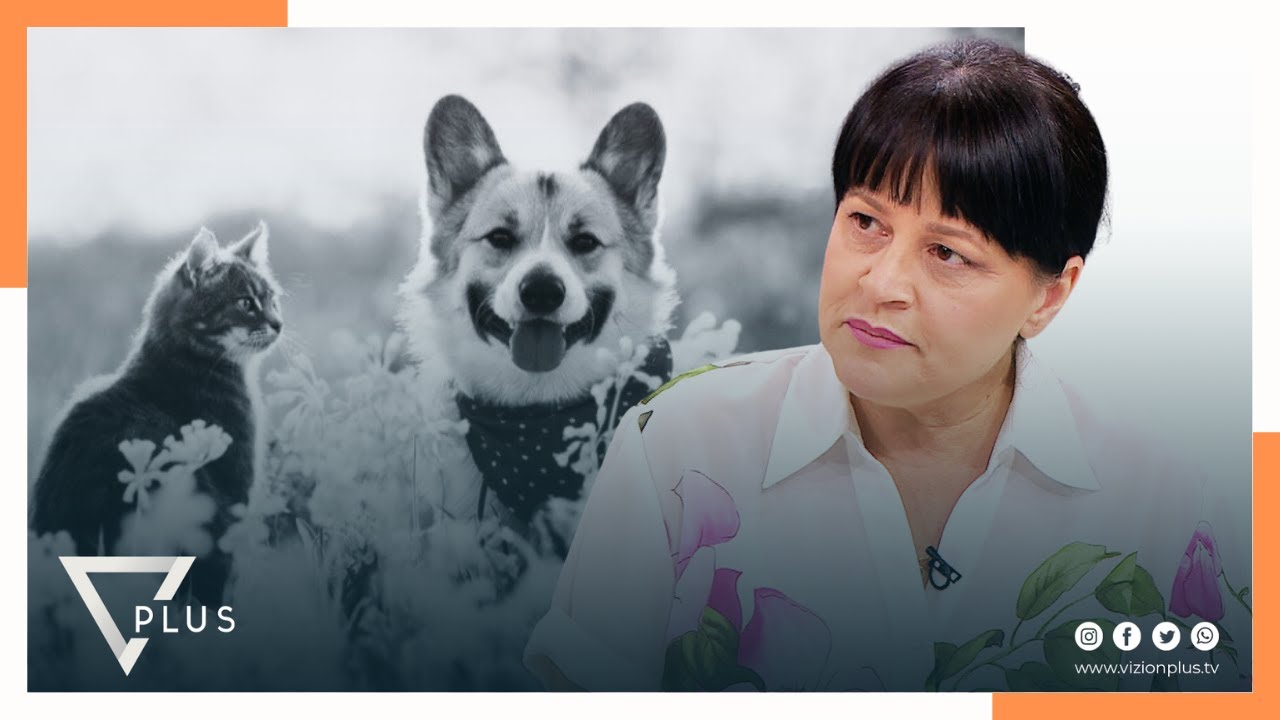 7pa5 - Aktivistja që ka mbushur shtëpinë me mace e qen ka një mesazh ...