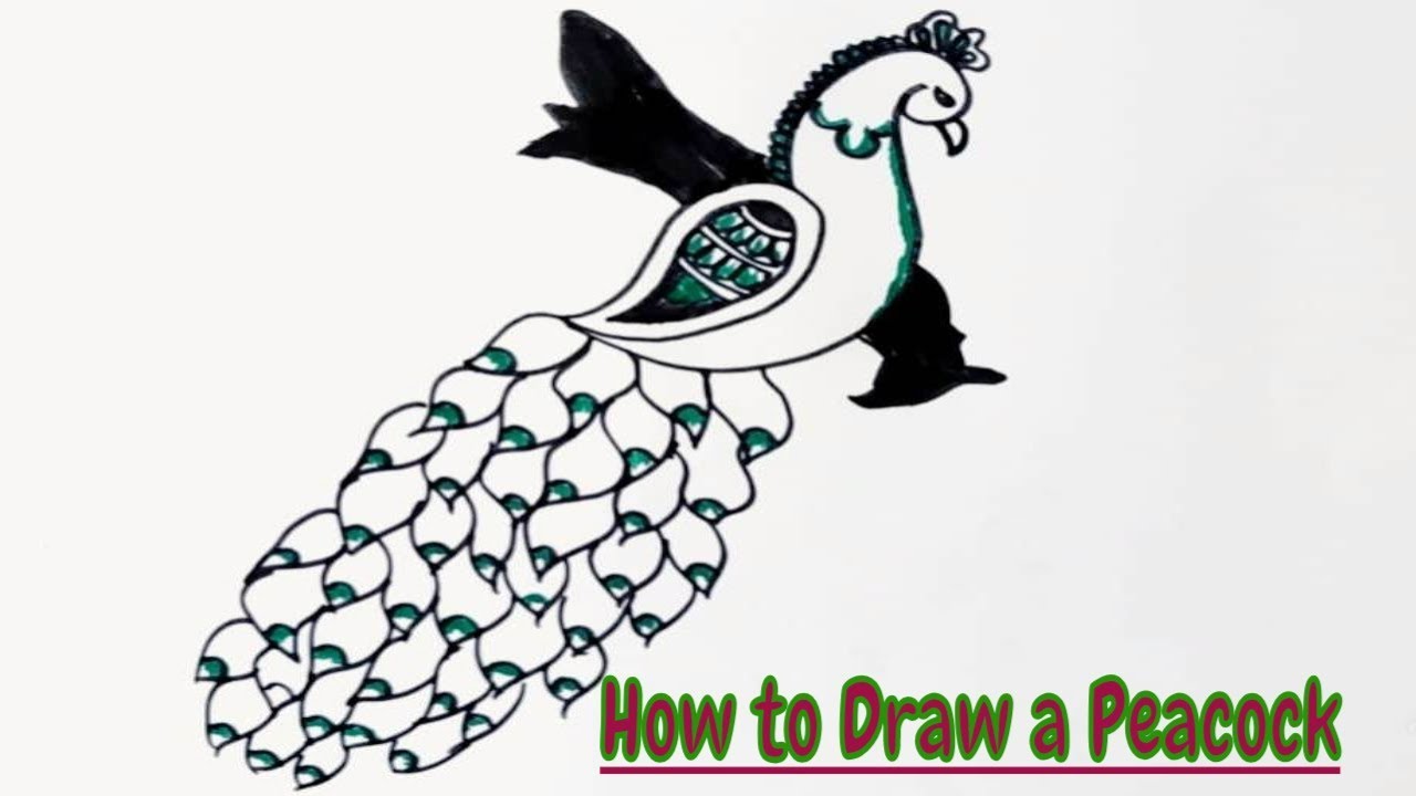 how to draw peacock with beautiful feather design | Neha Kids Art - YouTube