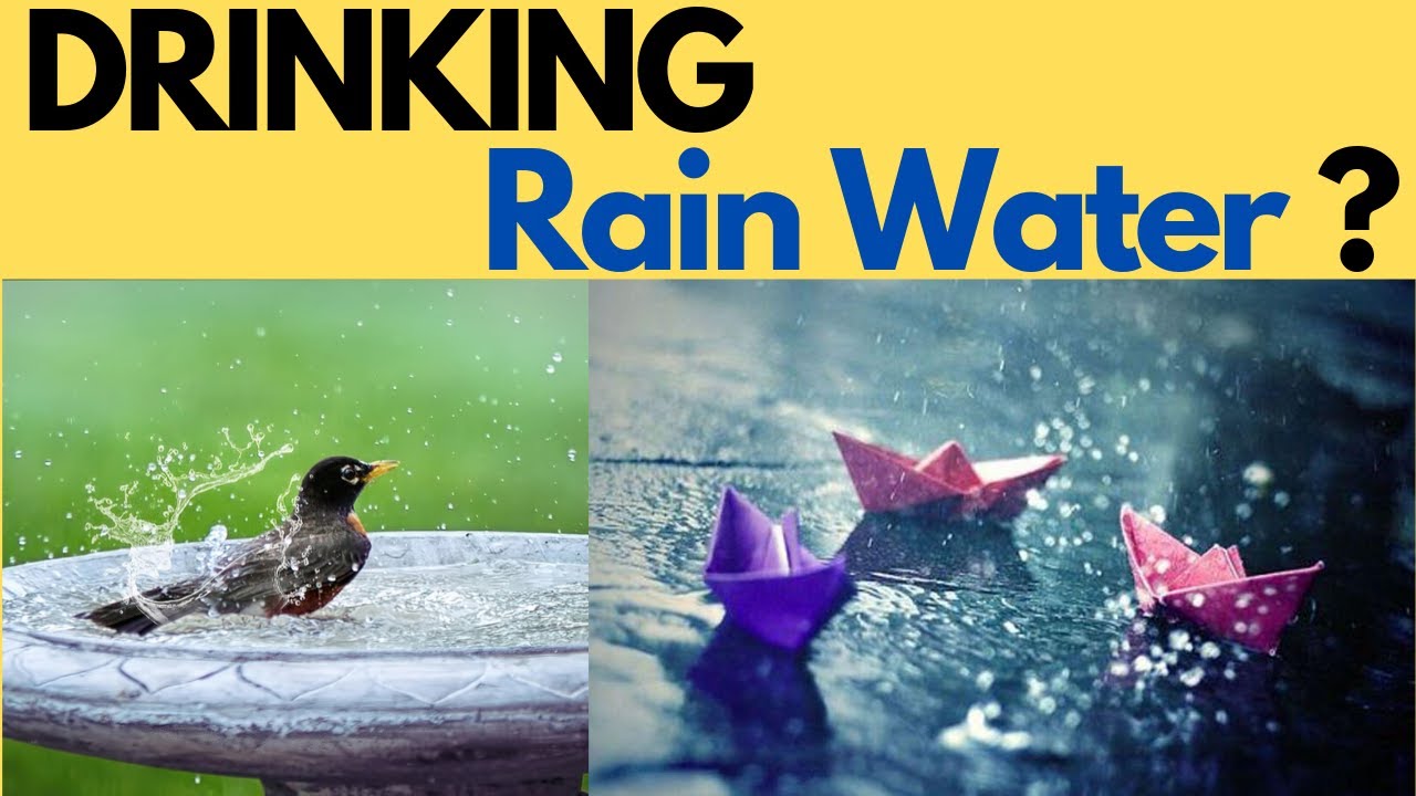 Drinking RAIN Water ? | Hakeem Asad Naeem - YouTube