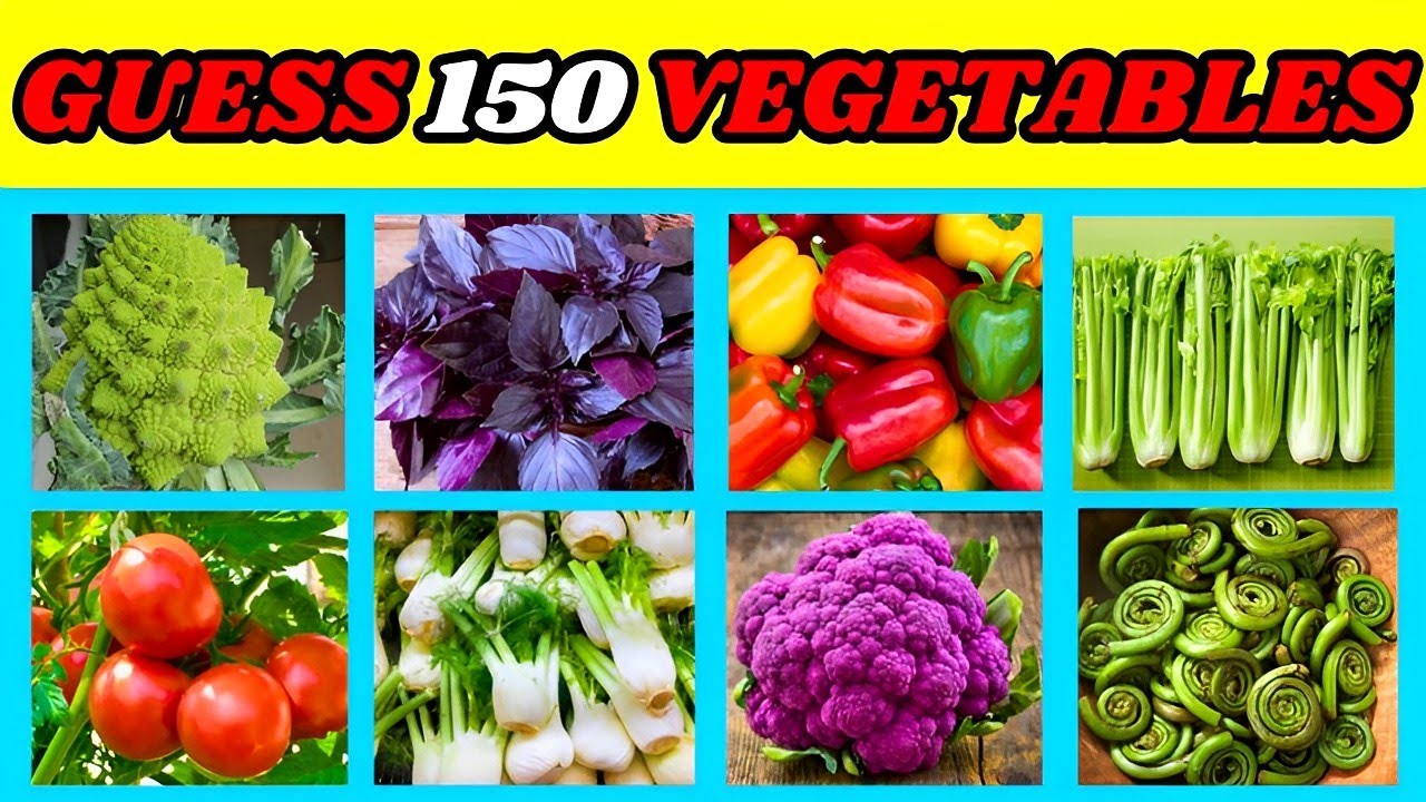 Guess the Vegetable | 150 Vegetables Name With Pictures | Vegetable ...