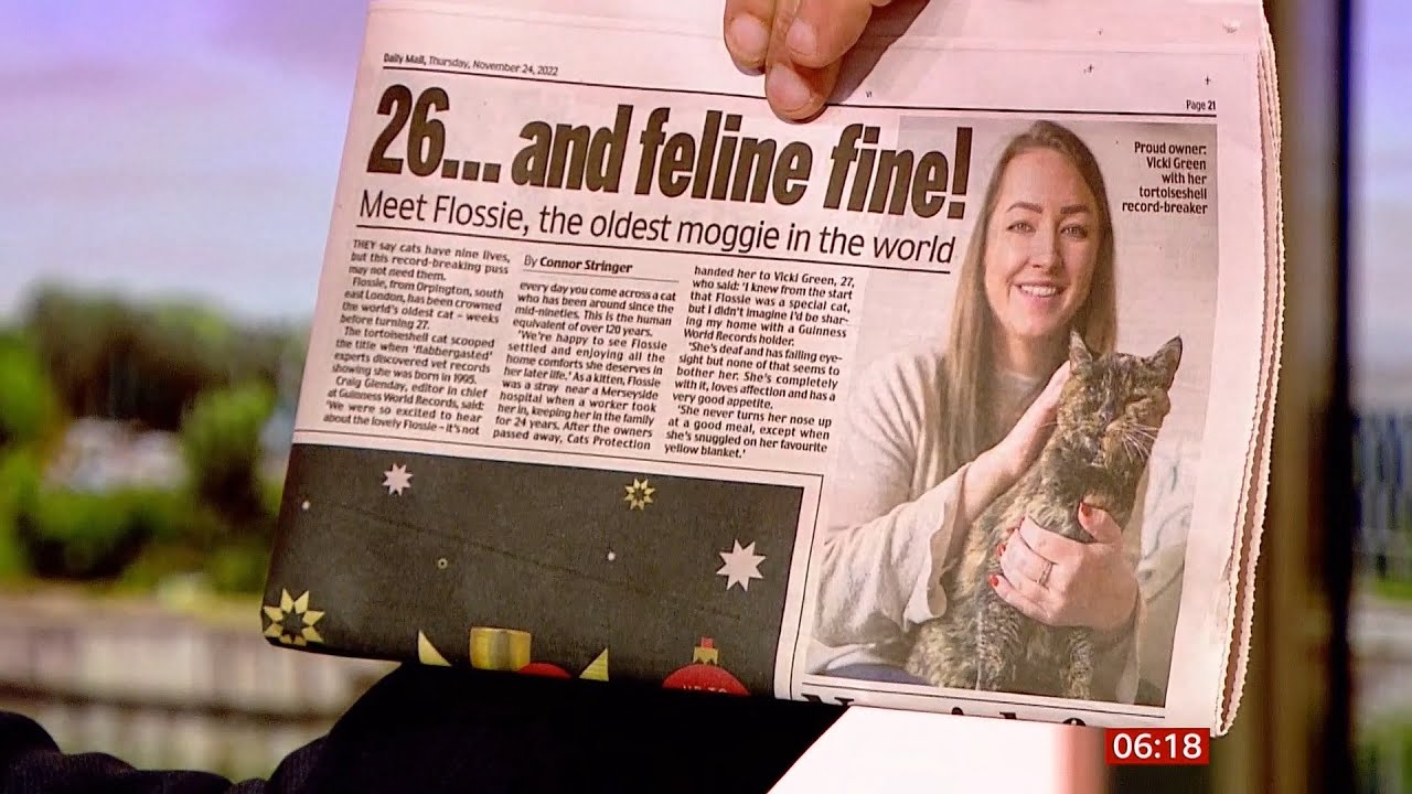 Floosie (26) the oldest cat in the world currently (UK/Global) (1 ...