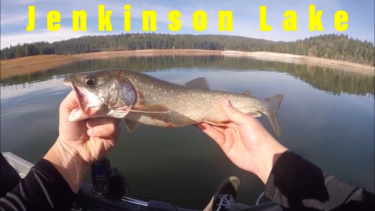 Jenkinson Lake | Trout / Bass Fishing | Sly Park - YouTube
