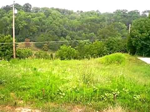Homes for Sale - 48 Collins Landing Frankfort KY 40601 - Billy Noblitt ...