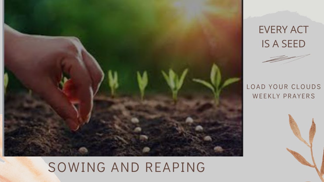 Prayers on Sowing and reaping - YouTube