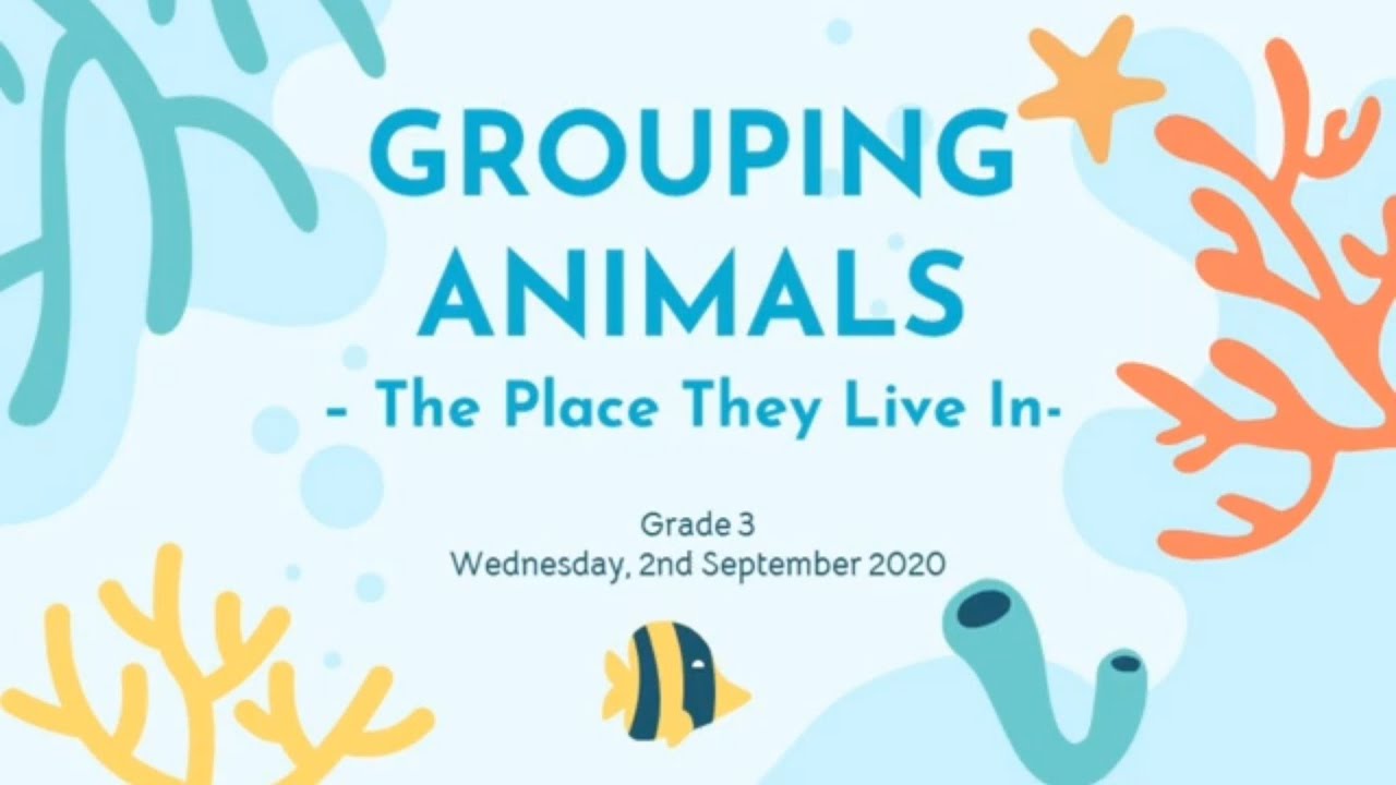 Kelas 3 - Science GROUPING ANIMALS (Rabu, 2 September 2020) - YouTube