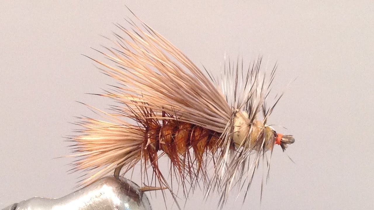 Golden Stimulator - YouTube