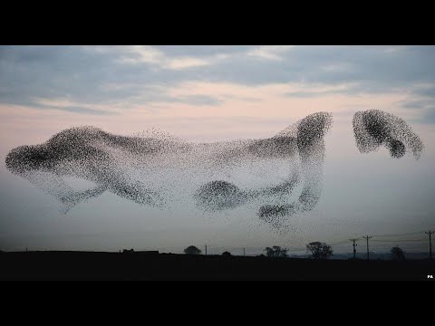 Synchronicity - ASMR tautogram in - YouTube