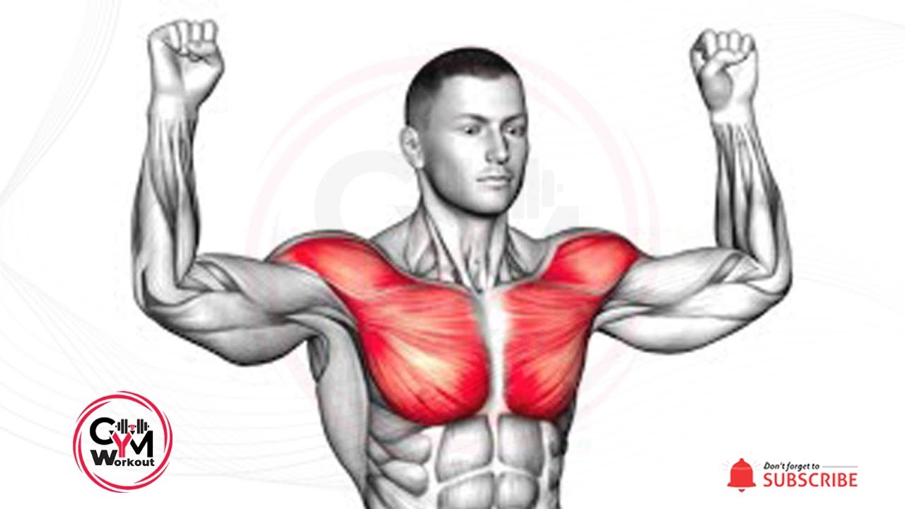 The Best Home Chest Workout 🔥 For Building Pec Muscles - YouTube