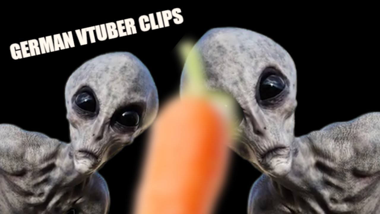 German Vtuber Clips (Tanuki Version) Teil 1 - YouTube