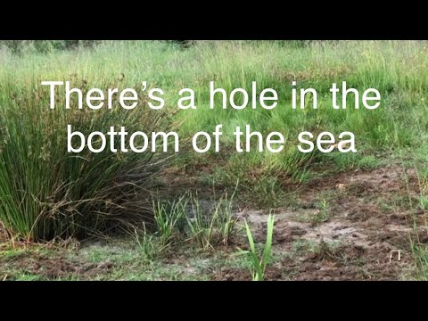 Song-a-day 2242 - There’s a hole in the bottom of the sea (Sylvia Fine ...