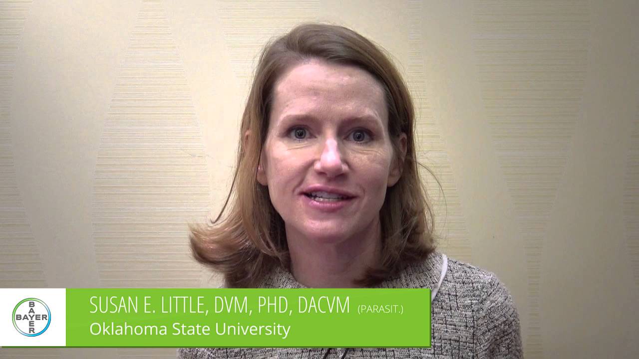 bayer susan little FINAL - YouTube