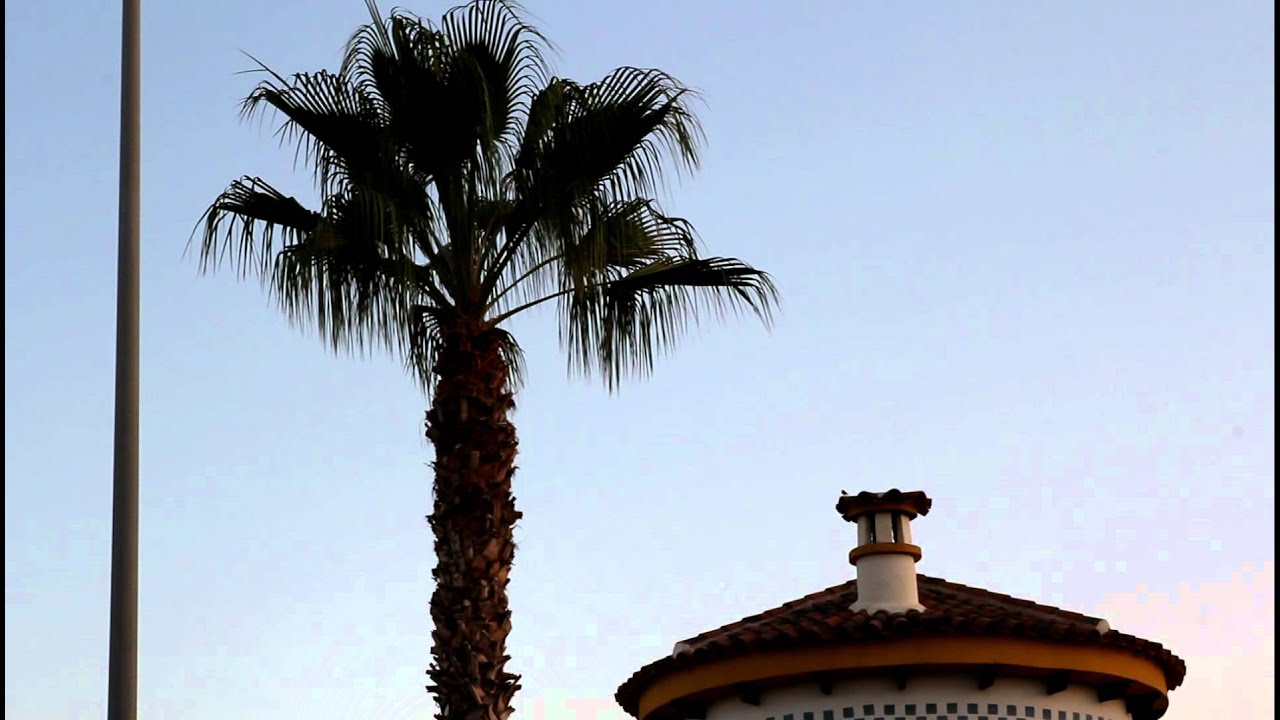 Calma vespertina en un atardecer - YouTube