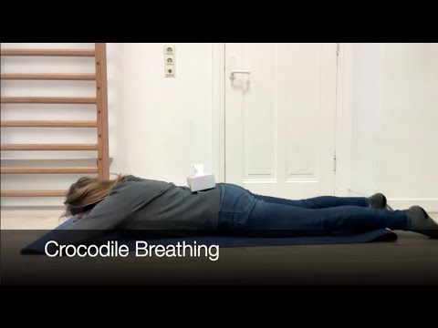 Crocodile breathing - YouTube