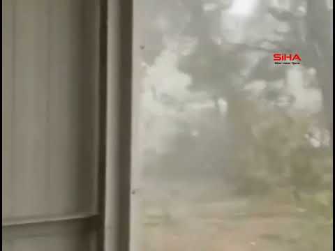 Çanakkale'de yağmur yağışı ağaçları devirdi!