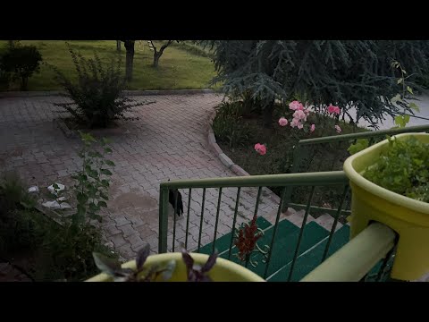 İkbal GÜRPINAR canlı yayında