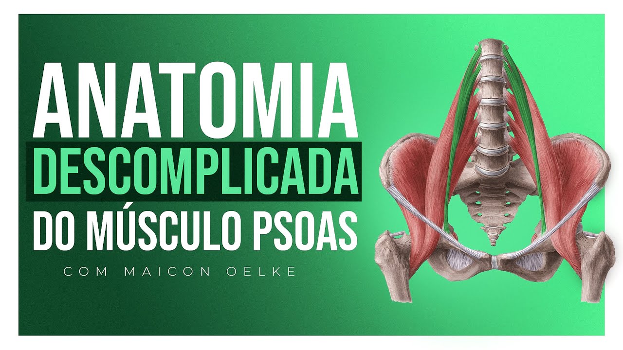 Anatomia descomplicada do MÚSCULO PSOAS - YouTube