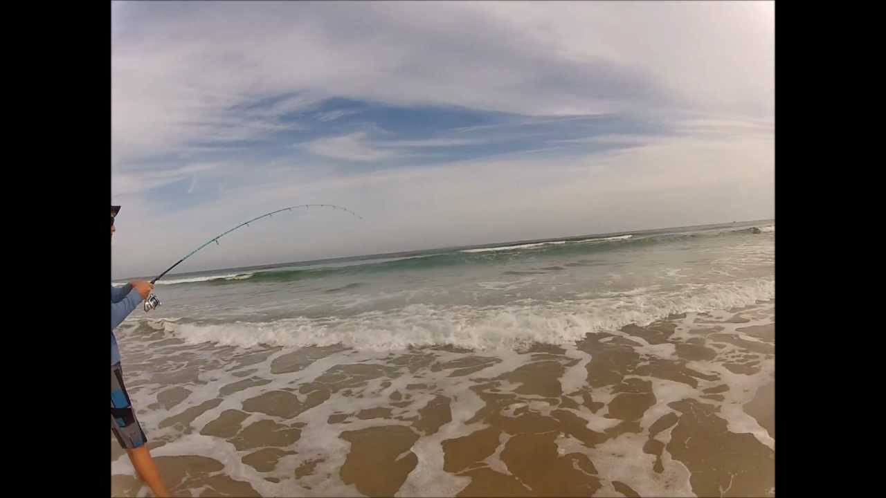 Surf Fishing for Big Whiting and Pompano - YouTube